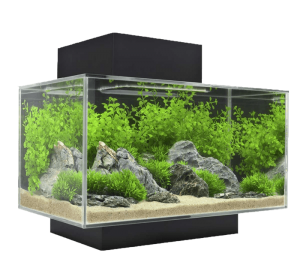 Aquarium.Kaca.co.id | Jual & Pembuatan Aquarium #1